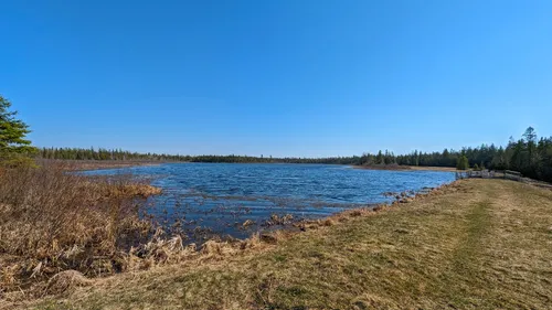 Best Hikes and Trails in Marlborough Forest | AllTrails