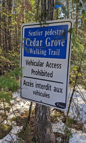 Best Hikes and Trails in Marlborough Forest | AllTrails