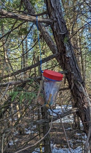 Best Hikes and Trails in Marlborough Forest | AllTrails