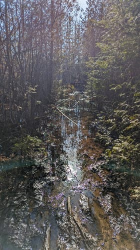 Best Hikes and Trails in Marlborough Forest | AllTrails