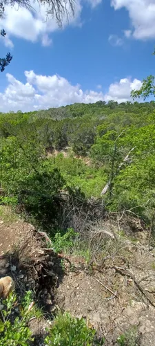 Best Hikes and Trails in Miller Spring Park | AllTrails