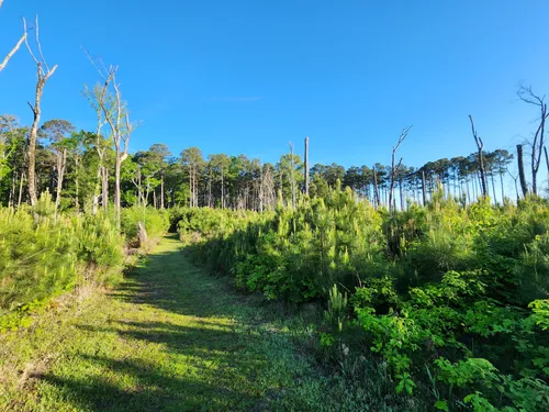 Best Hikes and Trails in Atlanta State Park | AllTrails