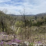 Alley Spring Overlook Trail, Missouri - 316 Reviews, Map | AllTrails