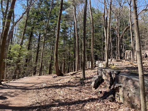 Best Hikes and Trails in Red Rocks Park | AllTrails