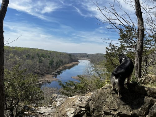 2023 Best trails in Johnsonburg Swamp Preserve | AllTrails