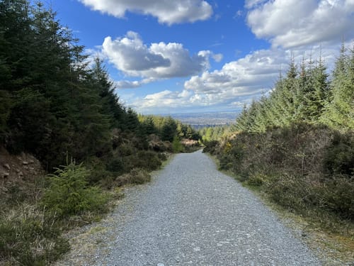 Best 10 Hikes and Trails in Three Rock Wood | AllTrails