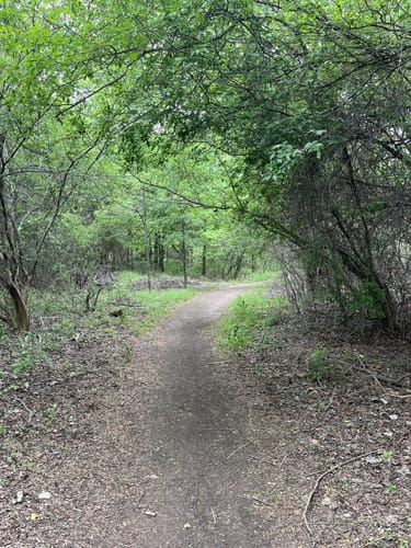 Best Hikes and Trails in Pilot Knoll Park | AllTrails