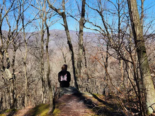 Best Hikes and Trails in Droop Mountain Battlefield State Park | AllTrails