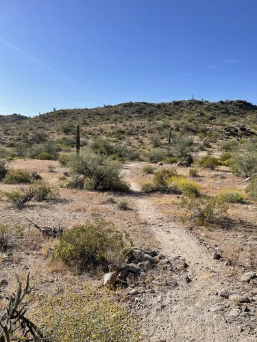 Best Hikes and Trails in FINS Estrella Ranch Park | AllTrails
