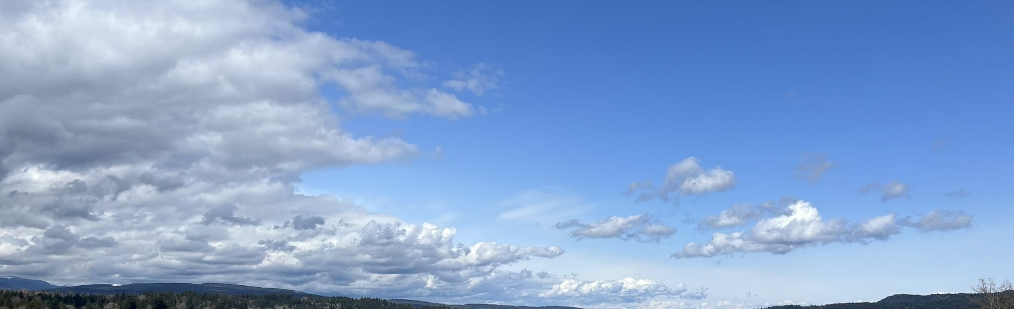 Fanny Bay Conservation Area: 48 foto's - Brits-Columbia, Canada | AllTrails