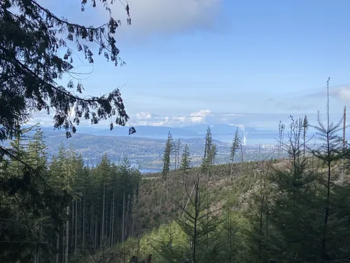 Best Hikes and Trails in Lake Whatcom Park | AllTrails