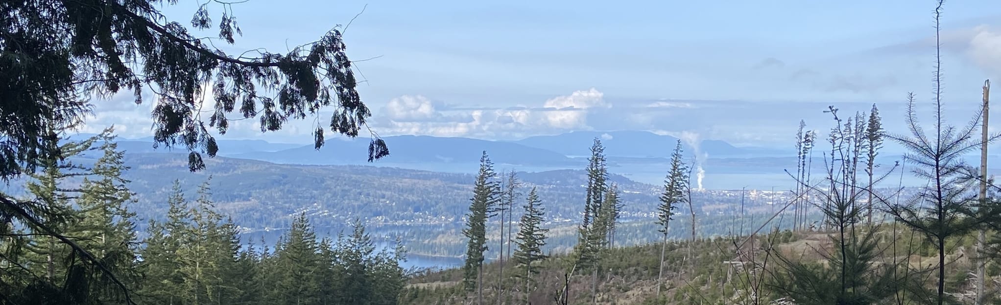 Y Road Trail to Stewart Mountain, Washington - 465 Reviews, Map | AllTrails