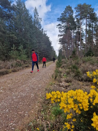 Best Hikes and Trails in Culbin Forest | AllTrails
