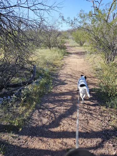 Best Hikes and Trails in Lincoln Regional Park | AllTrails