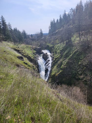 Best Hikes and Trails in Mosier Plateau Preserve | AllTrails