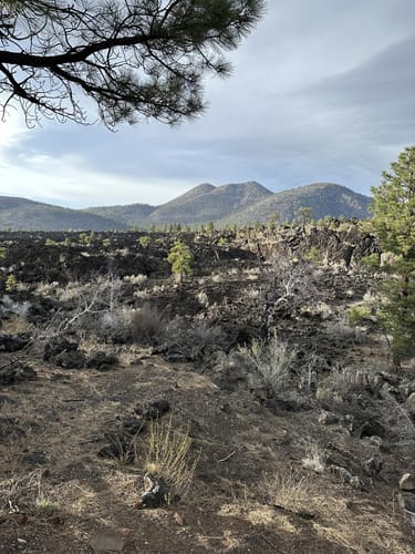 Best Hikes and Trails in Sunset Crater Volcano National Monument ...