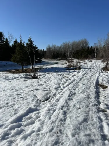 Best Walking Trails in Cap-Chat | AllTrails