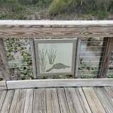 Neabsco Creek Boardwalk, Virginia - 648 Reviews, Map | AllTrails