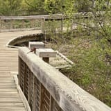 Neabsco Creek Boardwalk, Virginia - 648 Reviews, Map | AllTrails