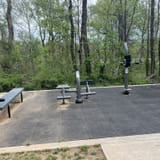 Neabsco Creek Boardwalk, Virginia - 655 Reviews, Map | AllTrails