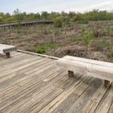 Neabsco Creek Boardwalk, Virginia - 655 Reviews, Map | AllTrails