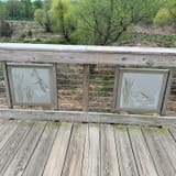 Neabsco Creek Boardwalk, Virginia - 655 Reviews, Map | AllTrails