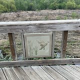 Neabsco Creek Boardwalk, Virginia - 655 Reviews, Map | AllTrails