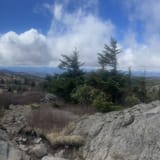 Mount Rogers Loop Trail, Virginia - 374 Reviews, Map | AllTrails