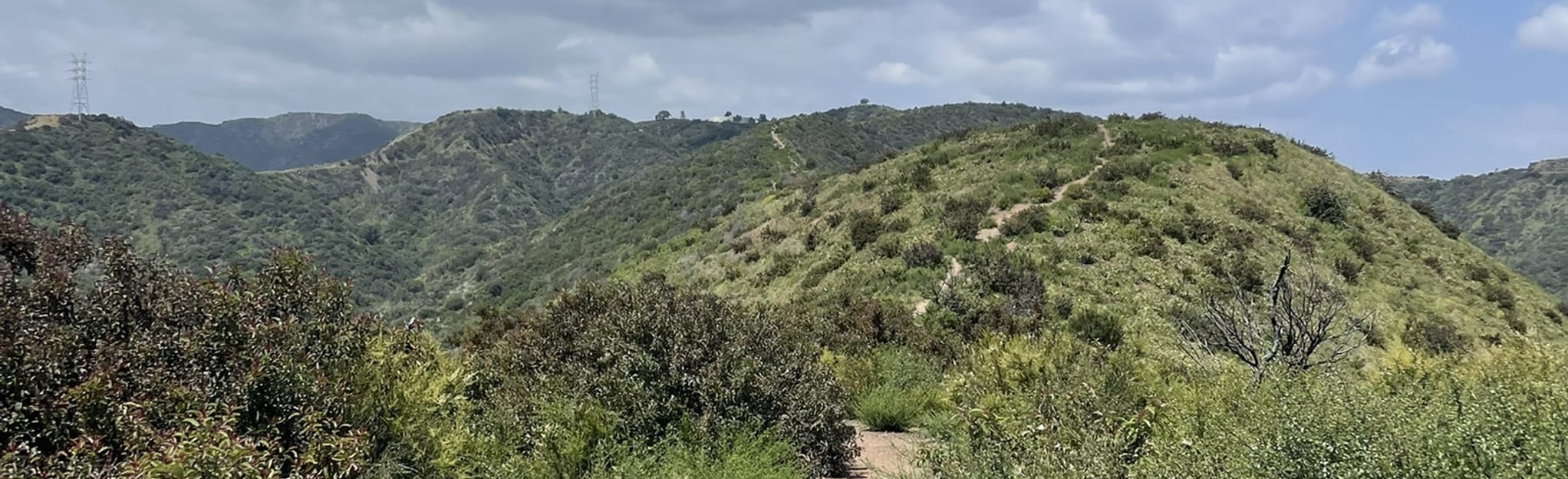 Tiger Tail Trail, California - 574 Reviews, Map | AllTrails