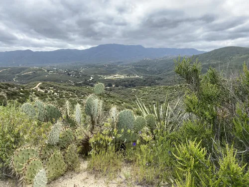 10 Best Trails and Hikes in Temecula | AllTrails