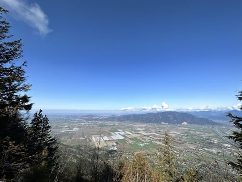 Best Hikes and Trails in Vedder Mountain Interpretive Forest | AllTrails