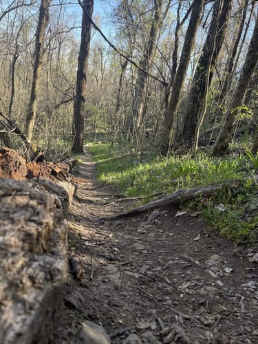 Best Hikes and Trails in Pilot Knob State Nature Preserve | AllTrails