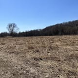 Arcola Bluffs Trail, Minnesota - 192 Reviews, Map | AllTrails