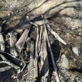 Arcola Bluffs Trail, Minnesota - 192 Reviews, Map | AllTrails