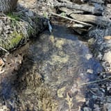 Arcola Bluffs Trail, Minnesota - 192 Reviews, Map | AllTrails