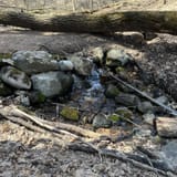 Arcola Bluffs Trail, Minnesota - 192 Reviews, Map | AllTrails