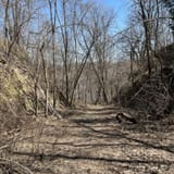 Arcola Bluffs Trail, Minnesota - 192 Reviews, Map | AllTrails