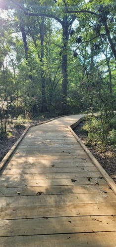 Best Hikes and Trails in Frenchtown Conservation Area | AllTrails