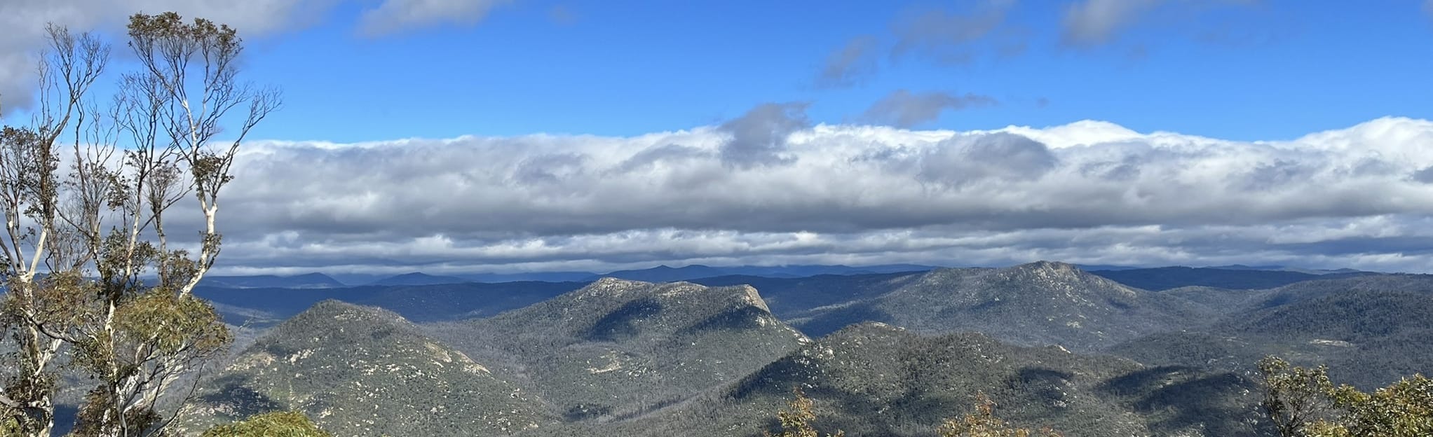 Mount Tennent Fire Trail: 97 foto - Territorio della Capitale ...