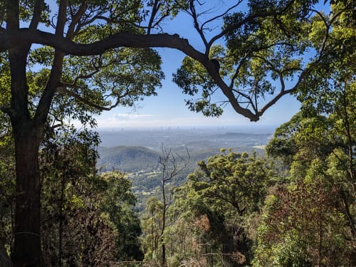 2023 Best Walking Trails in Lower Beechmont Conservation Area | AllTrails