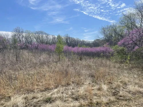 Best Mountain Biking Trails in William Landahl Park | AllTrails