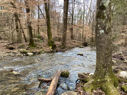 Best Hard Trails in Cohutta Wildlife Management Area | AllTrails