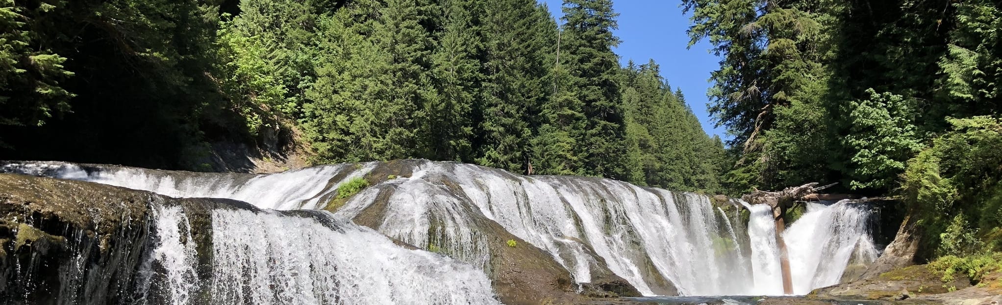 Lewis River Trail, Washington - 82 Reviews, Map | AllTrails