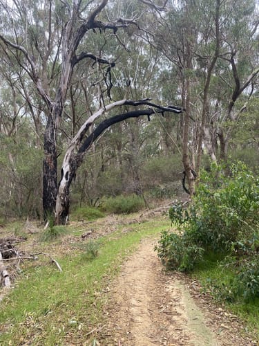 Best Hikes and Trails in Neerabup National Park | AllTrails