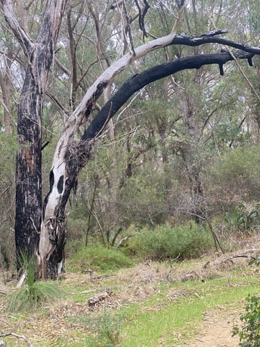 Best Hikes and Trails in Neerabup National Park | AllTrails