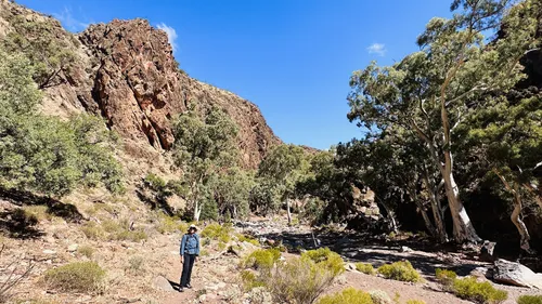 2023 Best 10 Trails and Hikes in Flinders Ranges | AllTrails