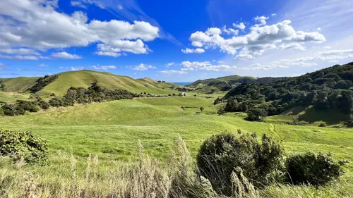 10 Best Trails and Hikes in Raglan | AllTrails