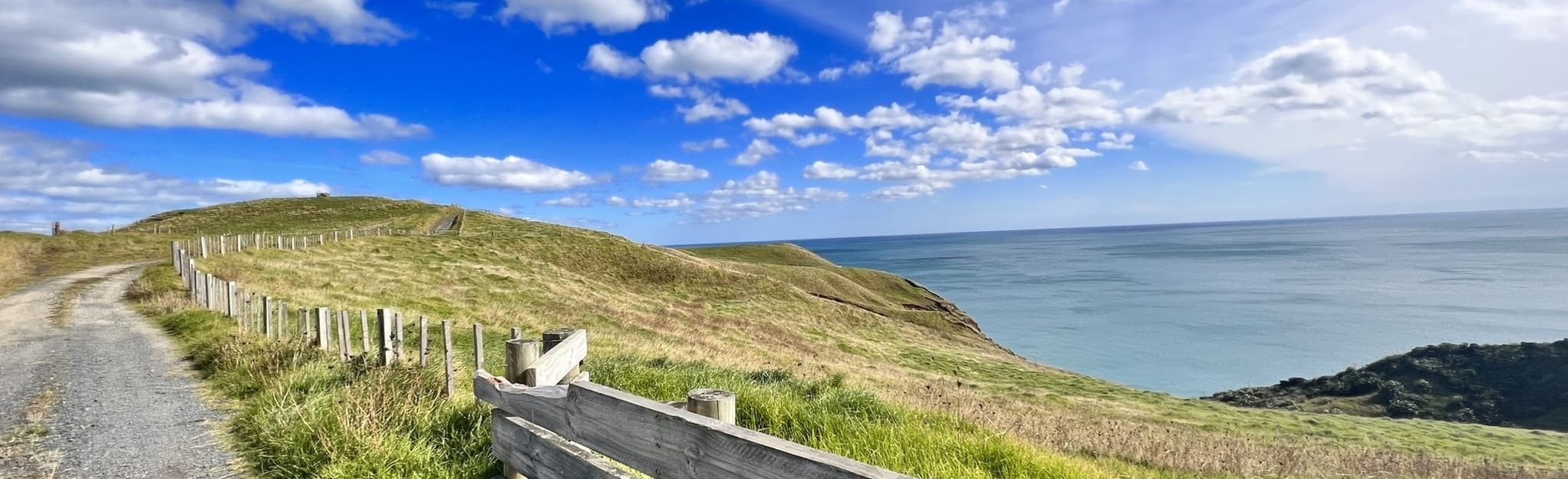 Karioi Mountain Loop, Waikato, New Zealand - 26 Reviews, Map | AllTrails