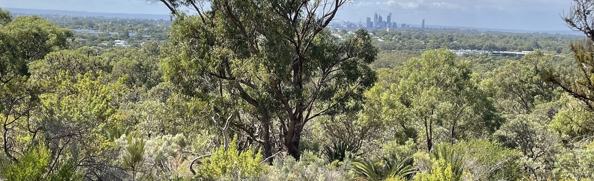 Zamia and Tuart Track Loop: 111 foto - Australia Occidentale, Australia ...