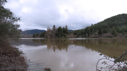 Best Hikes and Trails in Howarth Memorial Park | AllTrails